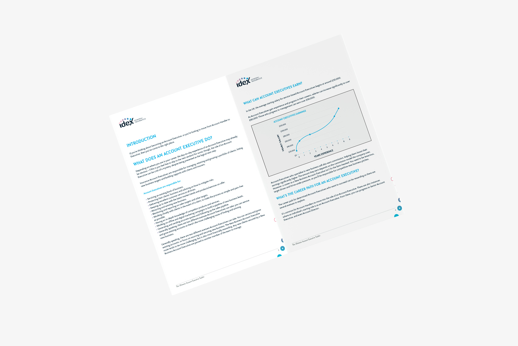 IDEX Consulting Graphic Design - Lincoln Collective