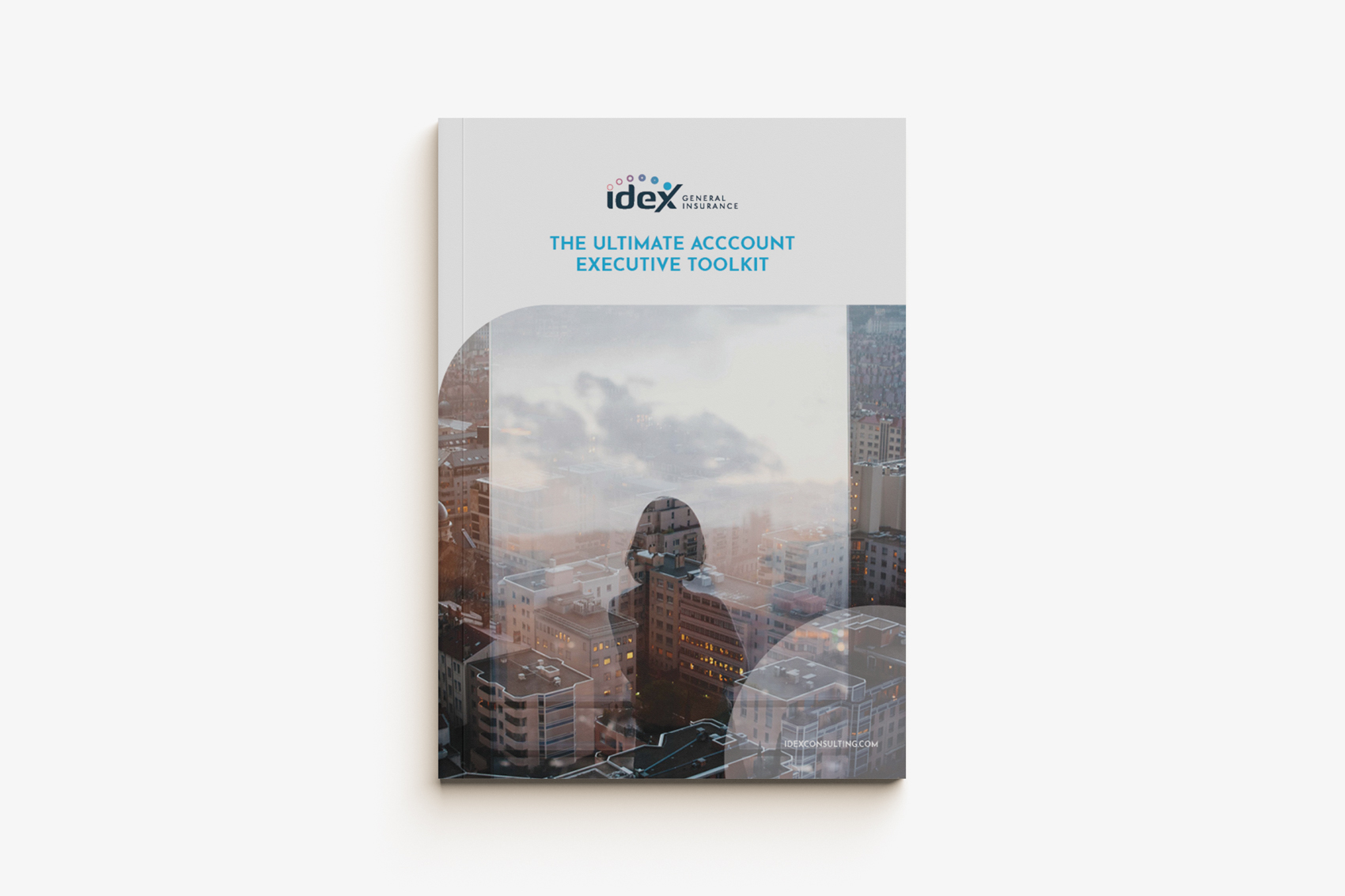 IDEX Consulting Graphic Design - Lincoln Collective